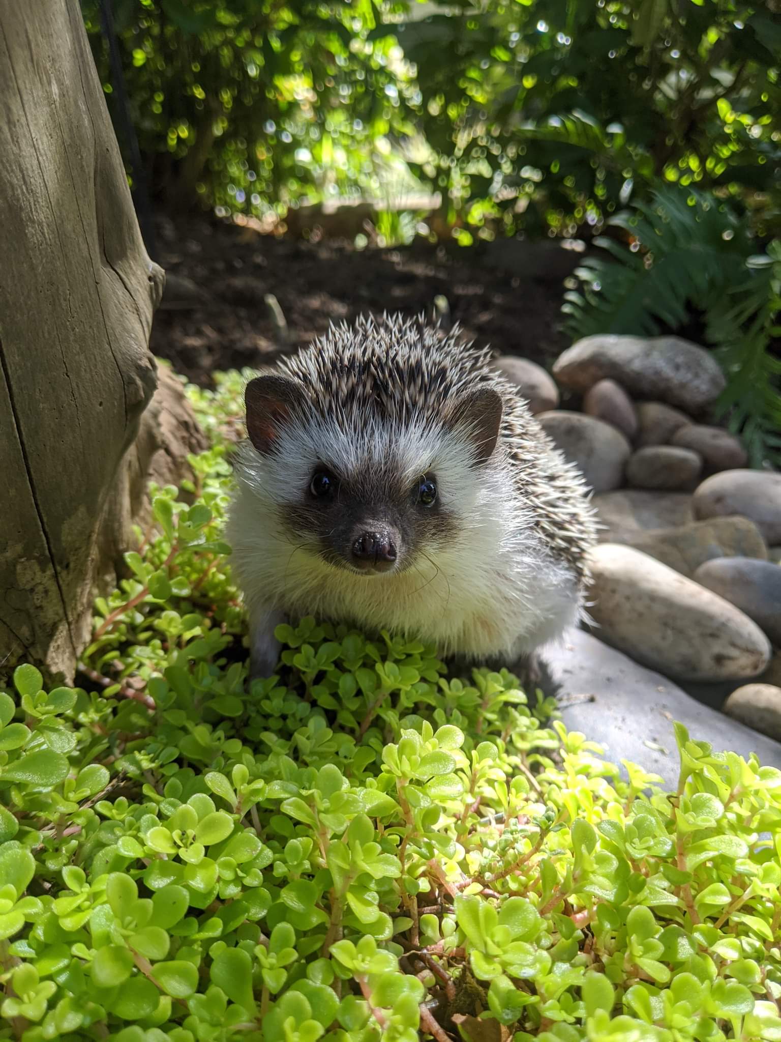 Written in the Stalls - Chapter 13 - JupiterSky - Harry Potter - J. K ...