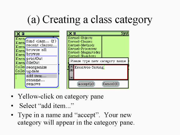 (a) Creating a class category