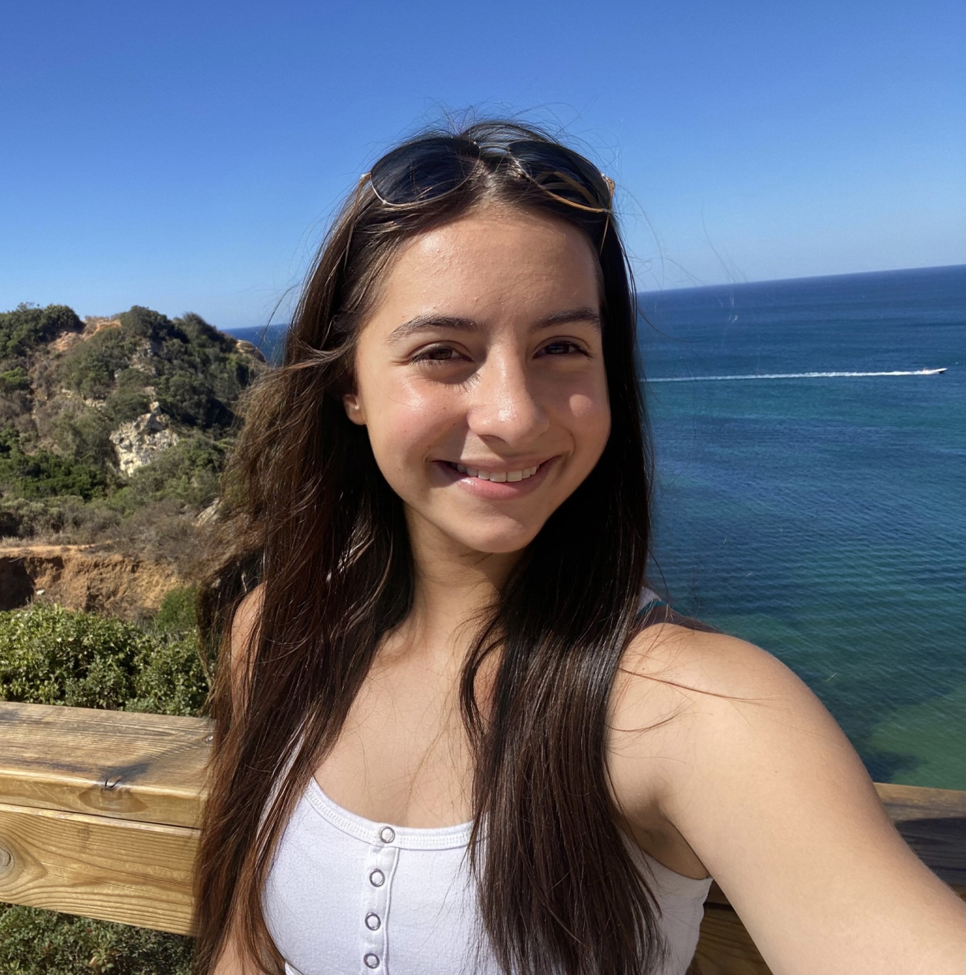 CSE 390Z, Autumn 2023